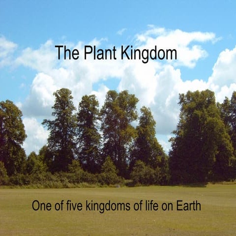 The Plant Kingdom | PPT