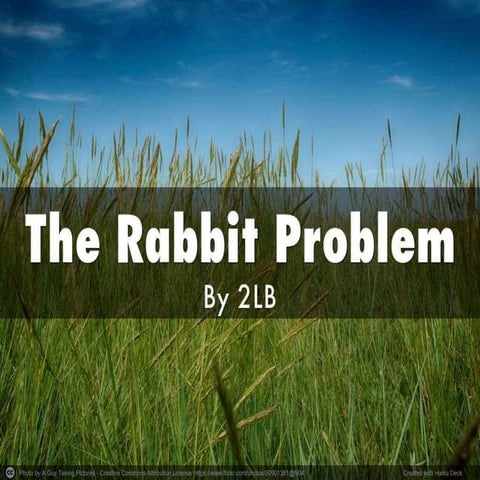 The Rabbit Problem | PPT