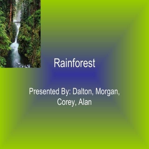 Temperate Forest | PPT