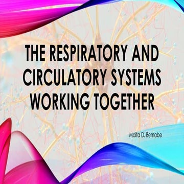 How digestive system respiratory system circulatory system work ...