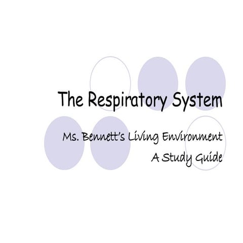 The Respiratory System | PPT