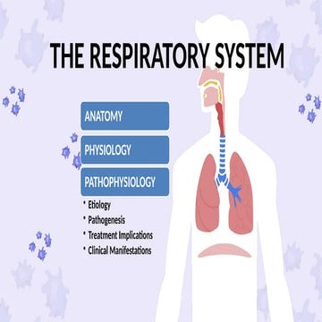THE-RESPIRATORY-SYSTEM slides & lesture.pptx