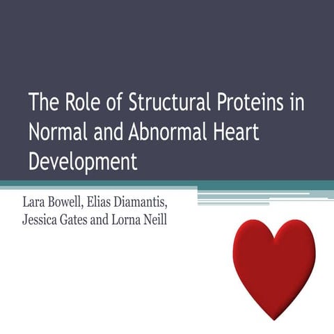 The Role of Structural Proteins in Normal and Abnormal Heart ...