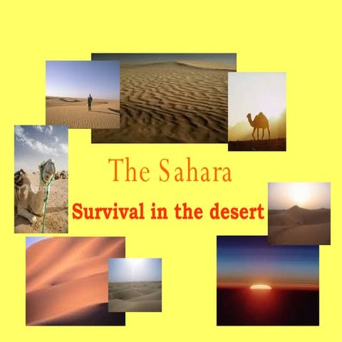 The Sahara | PPT