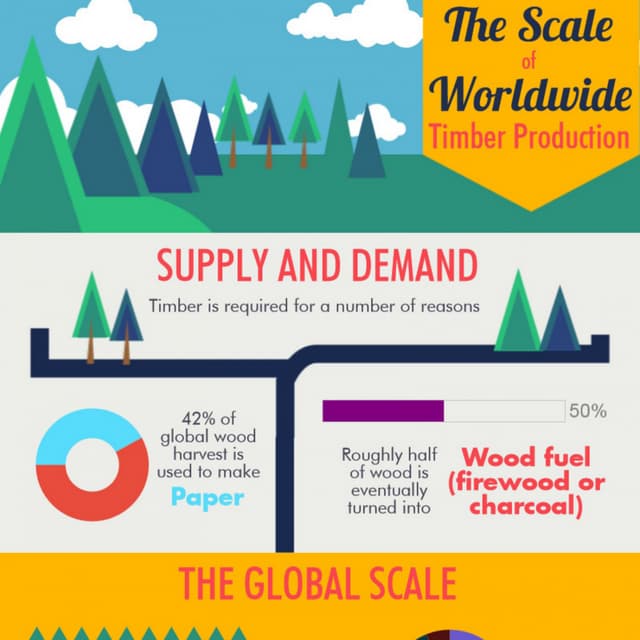 The Scale of Worldwide Timber Production | PDF