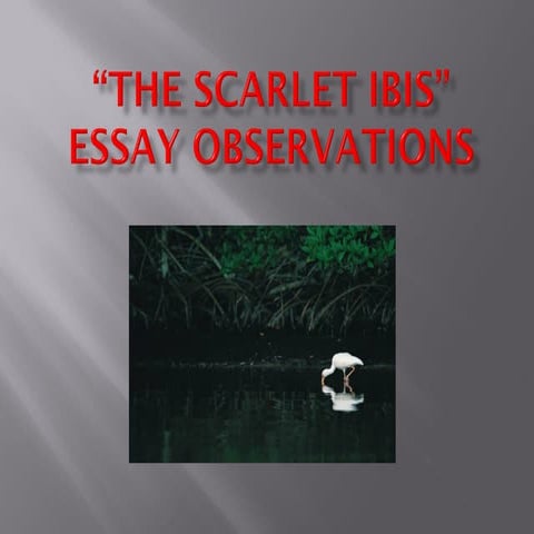 The Scarlet Ibis Essay Tips | PDF | Desktop Publishing | Computer ...