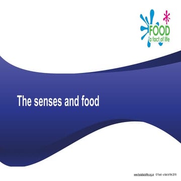 the-senses-and-food..................pptx