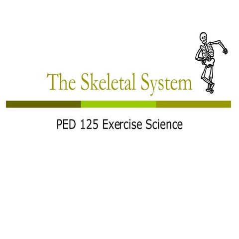 The Skeletal System | PPT