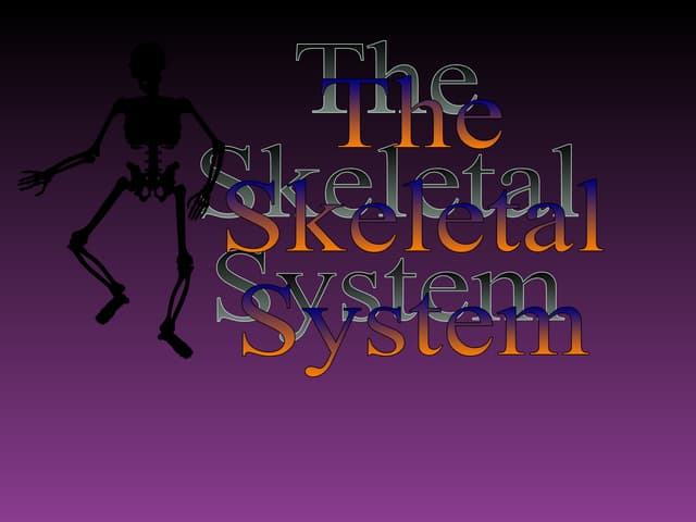 Skeletal system powerpoint | PPT