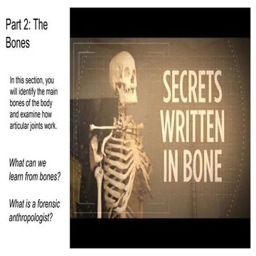 The-Skeletal-System in purposive communication_2.pptx