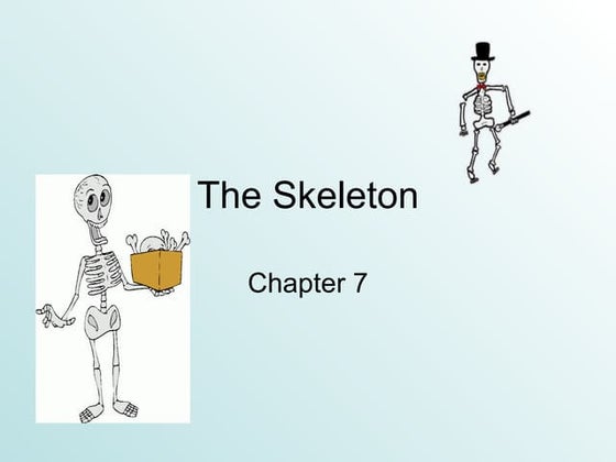 anatomy of human skull | PPT