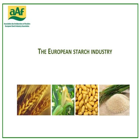 The production process of starch | PPTX