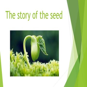 The-story-of-the-seed. PowerPoint presentation | PPTX