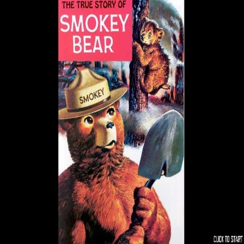The True Story Of Smokey Bear01 | PPT