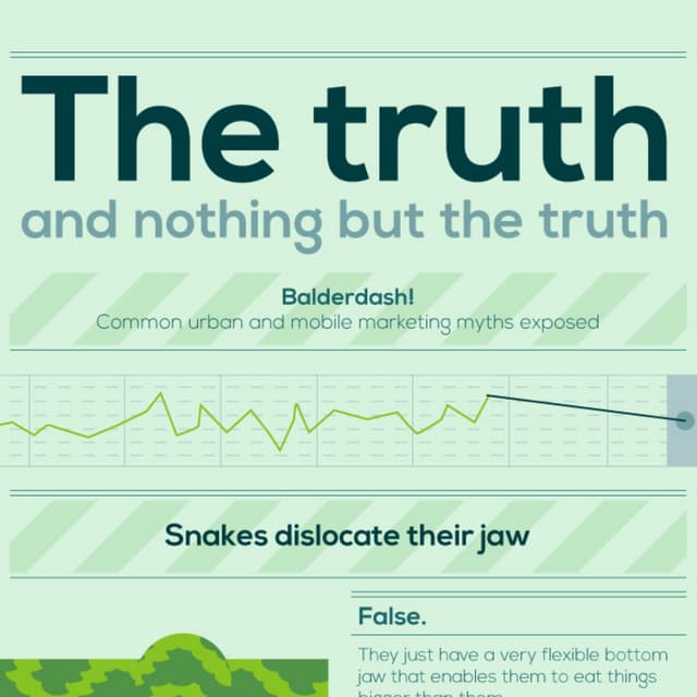The truth and nothing but the truth | PDF