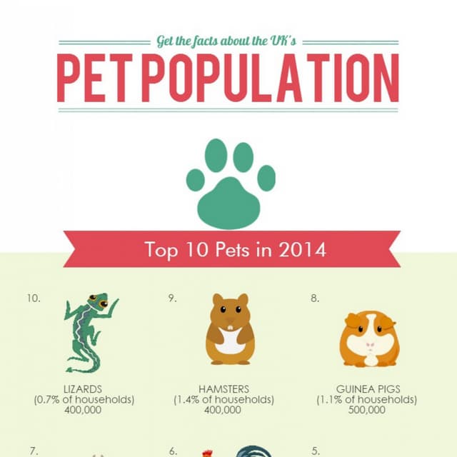 The UK Pet Population | PDF
