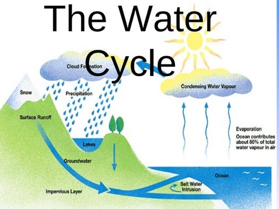 Grade 3 Unit 4 Lesson 2 The Water Cycle lesson | PPT