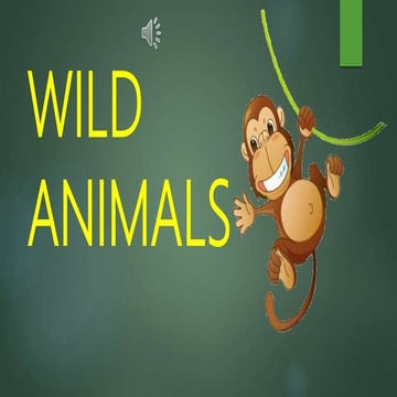 Let's talk about the zoo animals | PPT