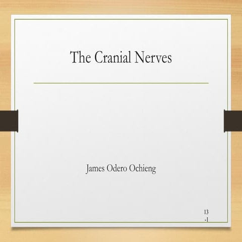 The 12 cranial nerves in the human brain | PPTX