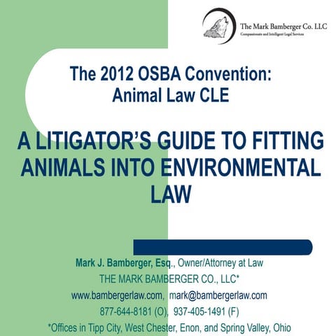 Virginia Chipurnoi - President of a Renowned Animal Welfare ...