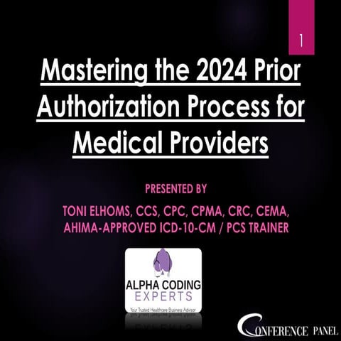 The 2024 Prior Authorization Process For Medical Providers | PDF