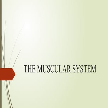 Muscular System powerpoint presentation for grade 4 students and ...
