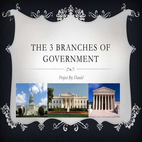 The 3 Branches of Government by Daniel | PPTX