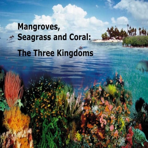 The 3 kingdoms | PPT