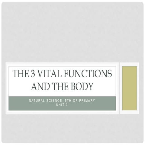 The 3 vital functions and the body | PPTX
