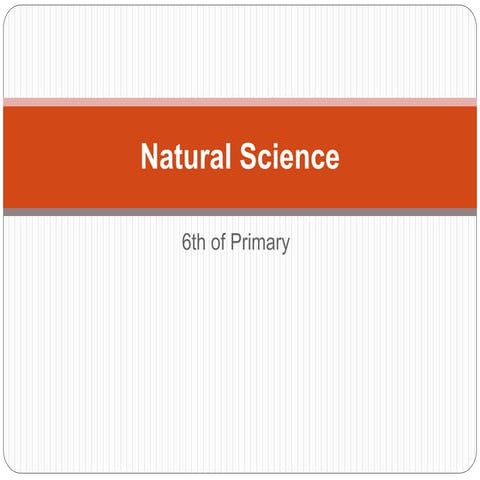 The 3 vital functions and the cells 6th primary | PPT