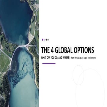 The 4 Global Options | PPTX | Resume Writing and Advice | Job Search
