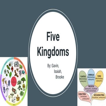 The 5 kingdoms (1) | PPTX