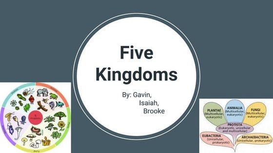 The 5 kingdoms | PPT