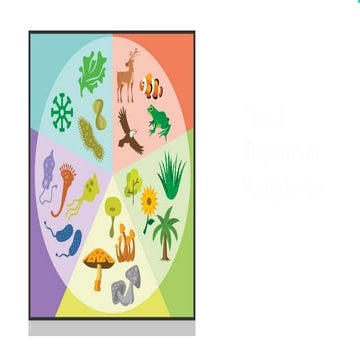 The 5 organism kingdoms | PPT