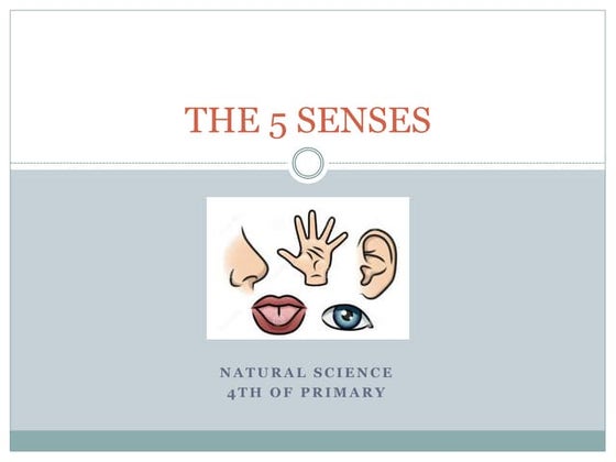sample lesson plan in science five senses | PDF