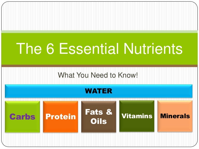 the-6-essential-nutrients-christine-hodgson