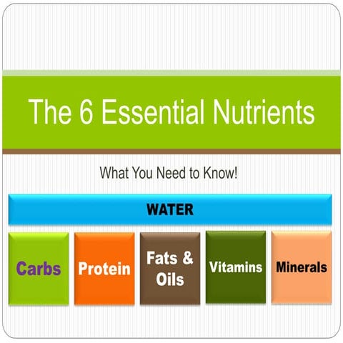 The 6 Essential Nutrients - Christine Hodgson | PPTX