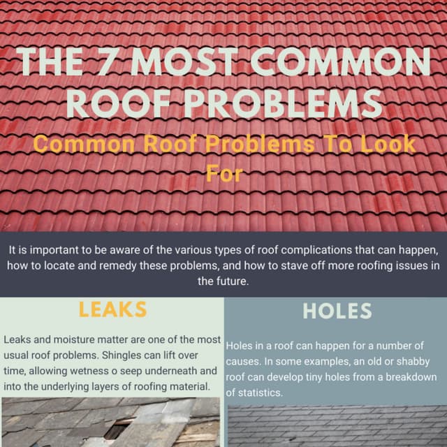 The 7 Most Common Roof Problems | PDF