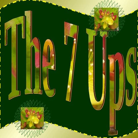 The7 Ups | PPS