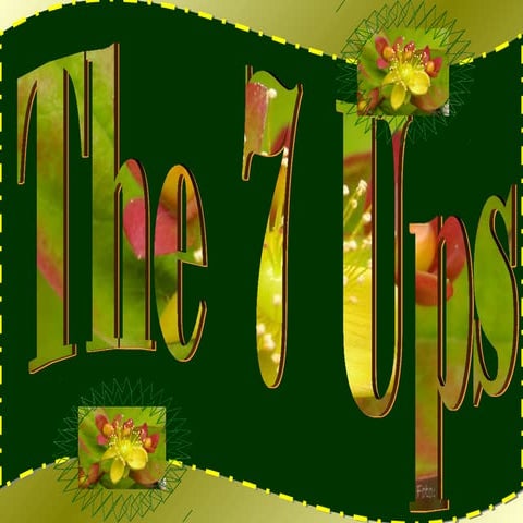 The7 ups (2) | PPS