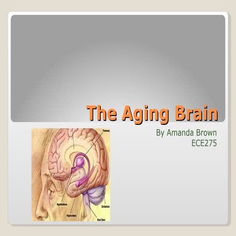 The aging brain | PPT