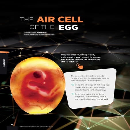 The air cell of the egg chicken on cage.pdf