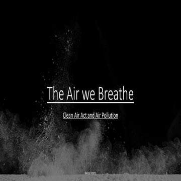The air we breathe 2 | PDF
