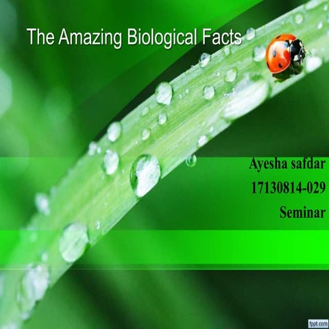 The amazing biological facts | PPTX