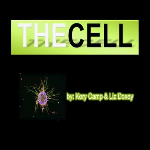 The amazing cell | PPTX