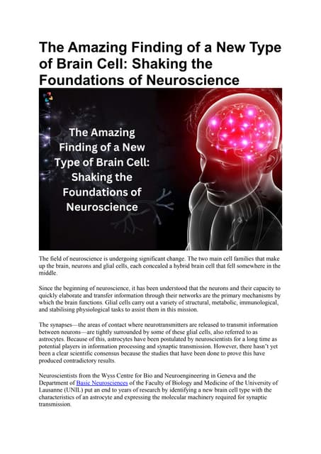 Brain's molecular velcro | PDF