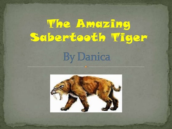 Amazing Armadillos by Braeden | PPTX