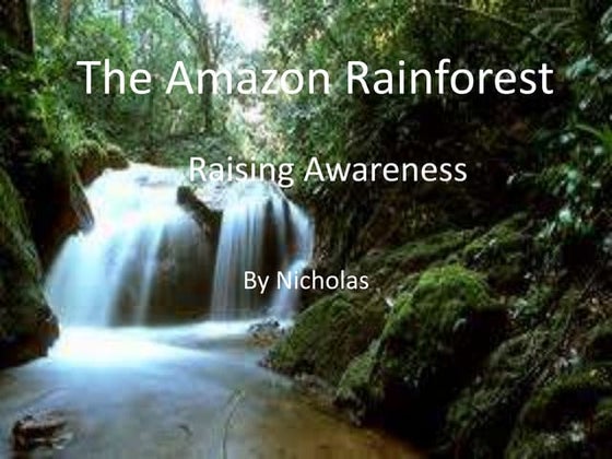 The Amazon Rainforest | PPT