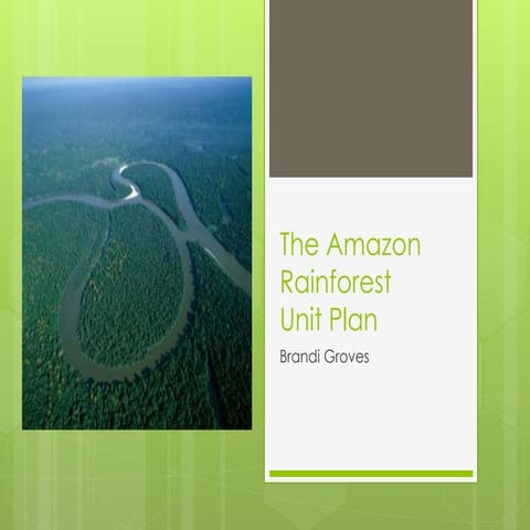 The amazon rainforest | PPTX | Geography | Science