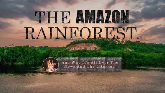 The Amazon Rainforest | PPT